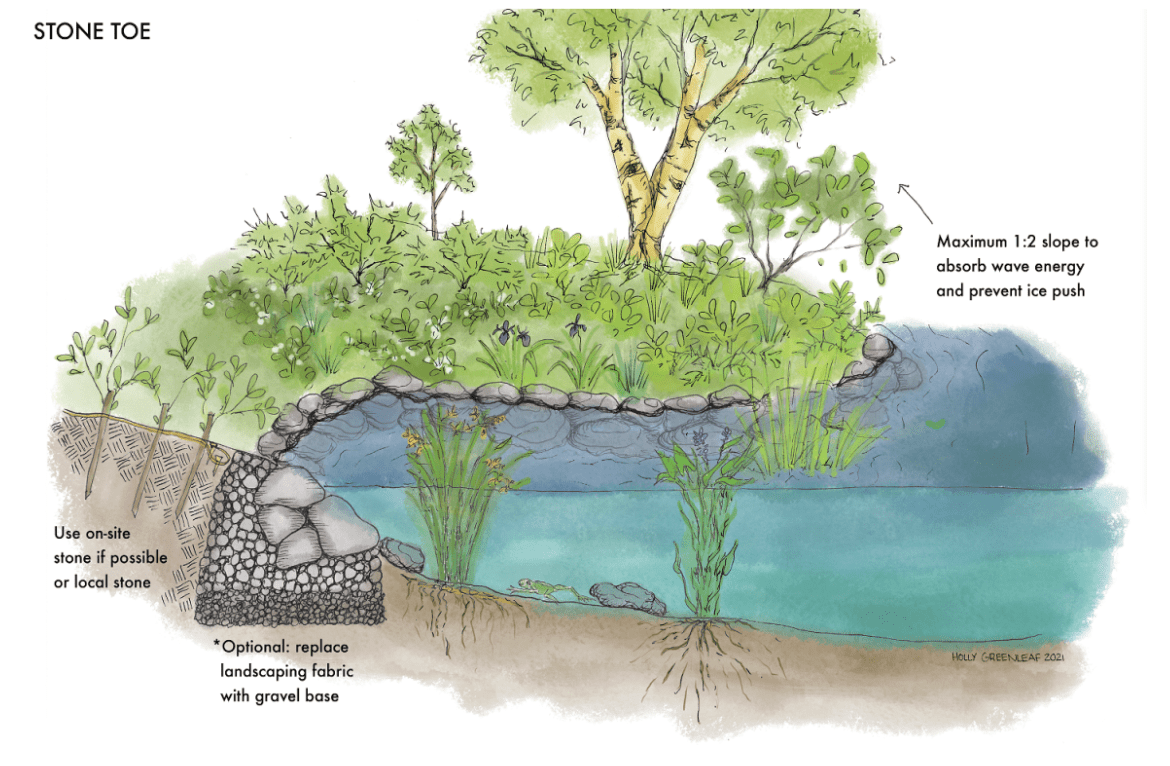 Question of the month: Is riprap the best way to stabilize my shoreline ...